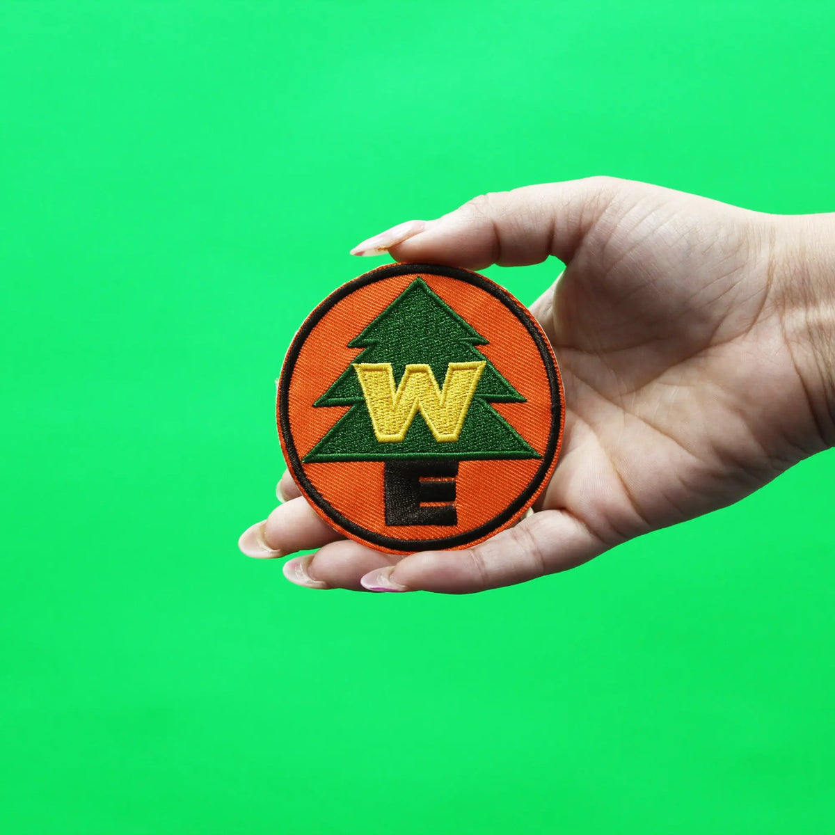 Disney Pixar Movie Up The Wilderness Explorer Boy Scout Patch (Russell ...